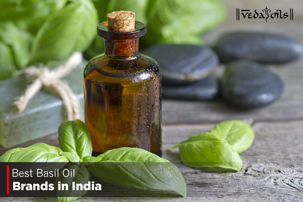 10 Best Basil Oil Brands in India – VedaOils