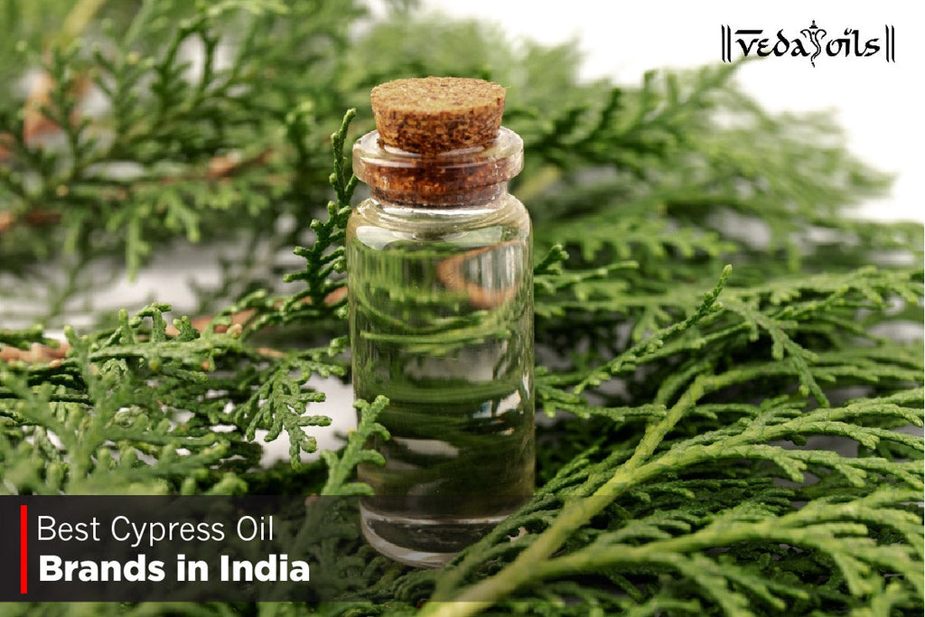 8 Best Cypress Oil Brands in India – VedaOils