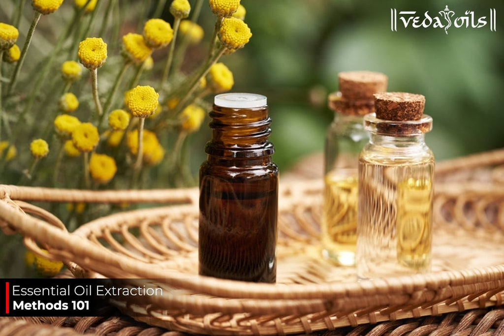 Essential Oil Extraction Methods 101: Different Ways to Extraction ...