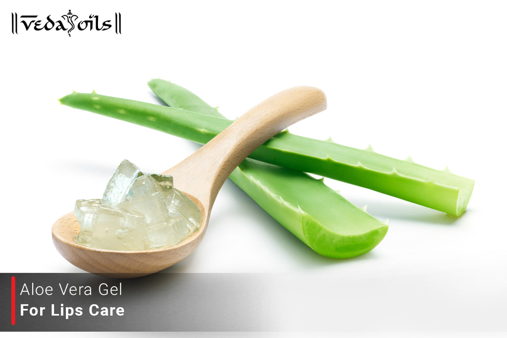 Aloe Vera Gel For Lips Care - Benefits & How to Use? – VedaOils