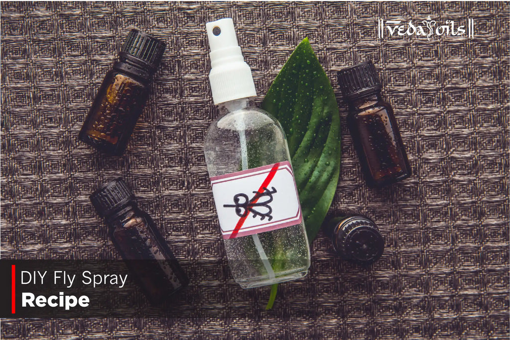 DIY Fly Repellent Spray: Best Homemade Recipes For Home & Pets – VedaOils
