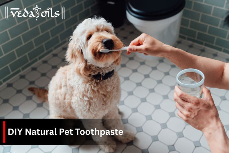 DIY Natural Pet Toothpaste: Safe & Simple Homemade Recipe for Dogs ...