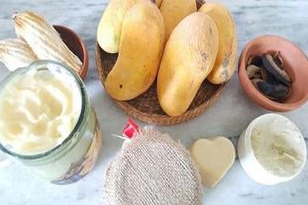 Everything You Need to Know About Mango Butter – VedaOils