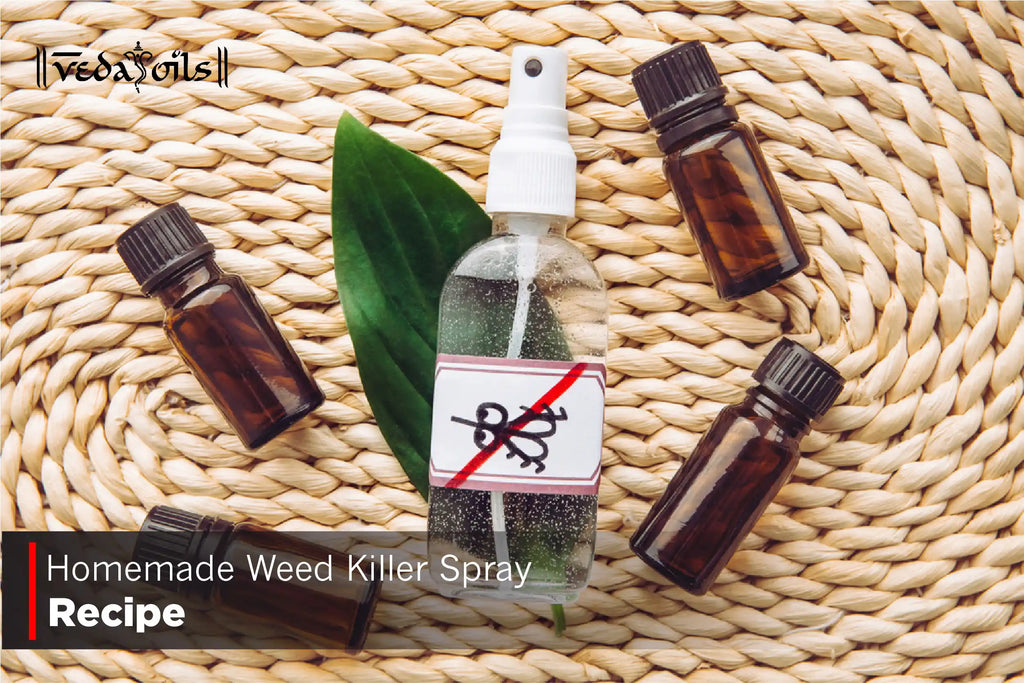 Best Homemade Weed Killer Spray - Benefits & Natural DIY Recipes – VedaOils