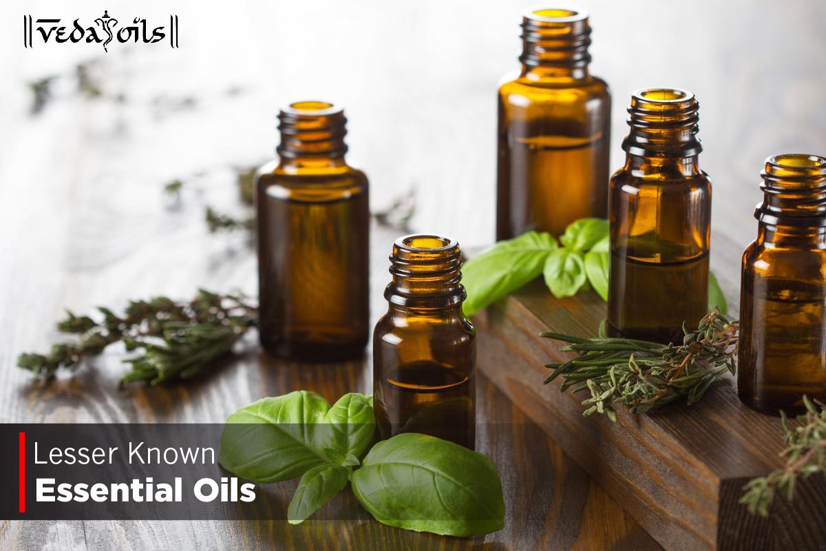 10 Best Little Known Essential Oils - You've Never Heard of Until Now ...