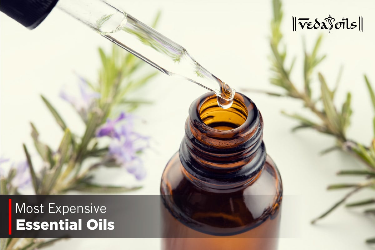 10 Most Expensive Essential Oils In The World – VedaOils
