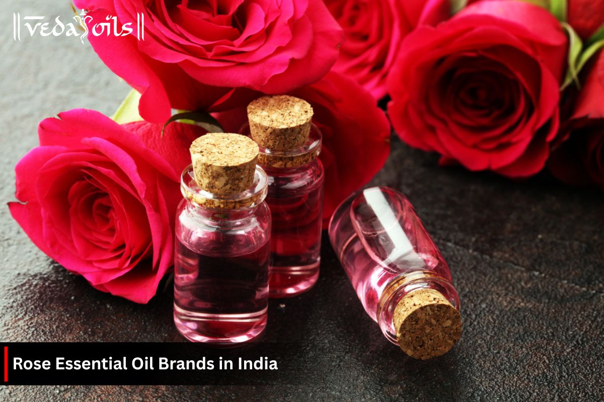 10 Best Rose Essential Oil Brands in India 2026 – VedaOils