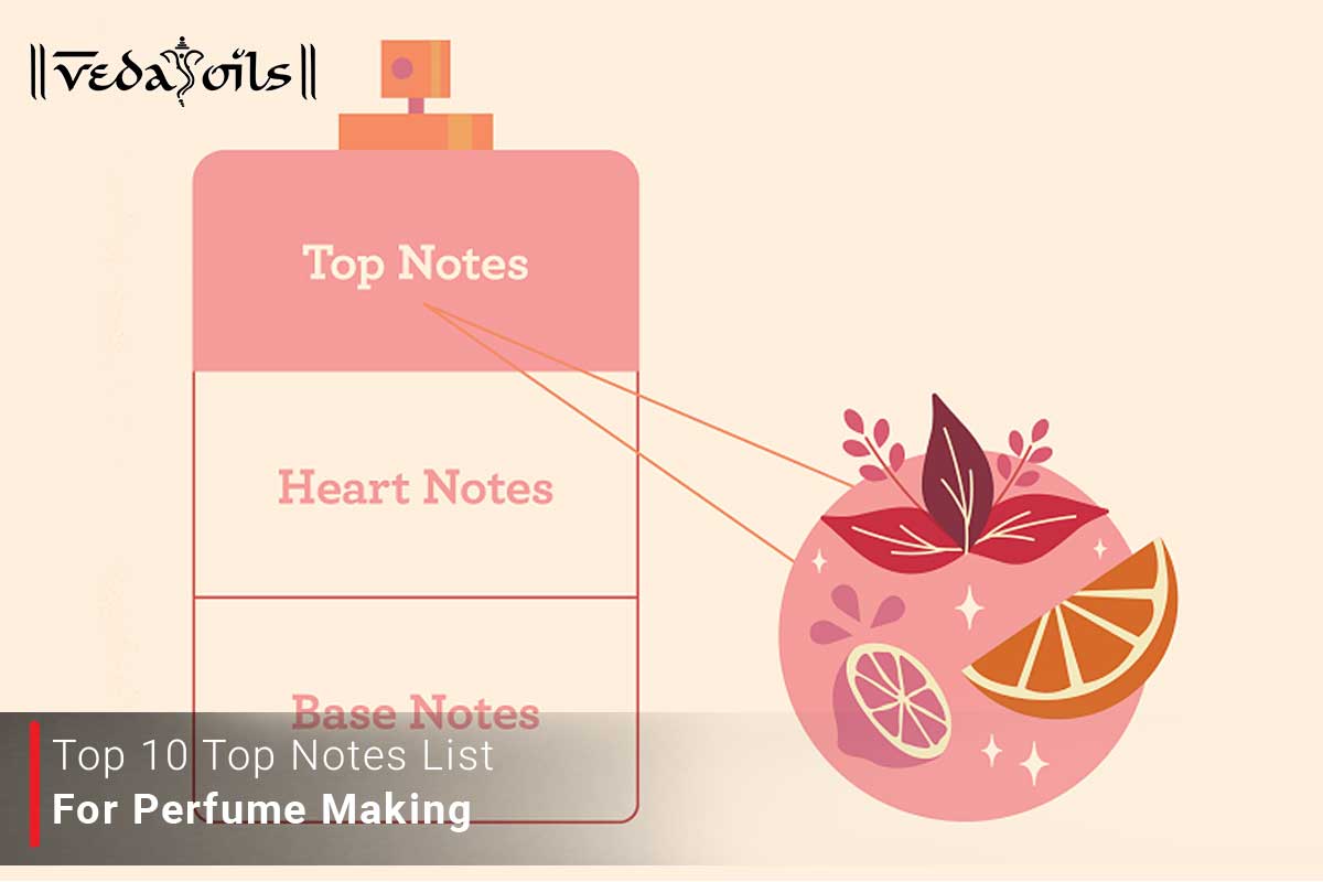 Best 10 Head Note for Perfume Making - Top Note List – VedaOils
