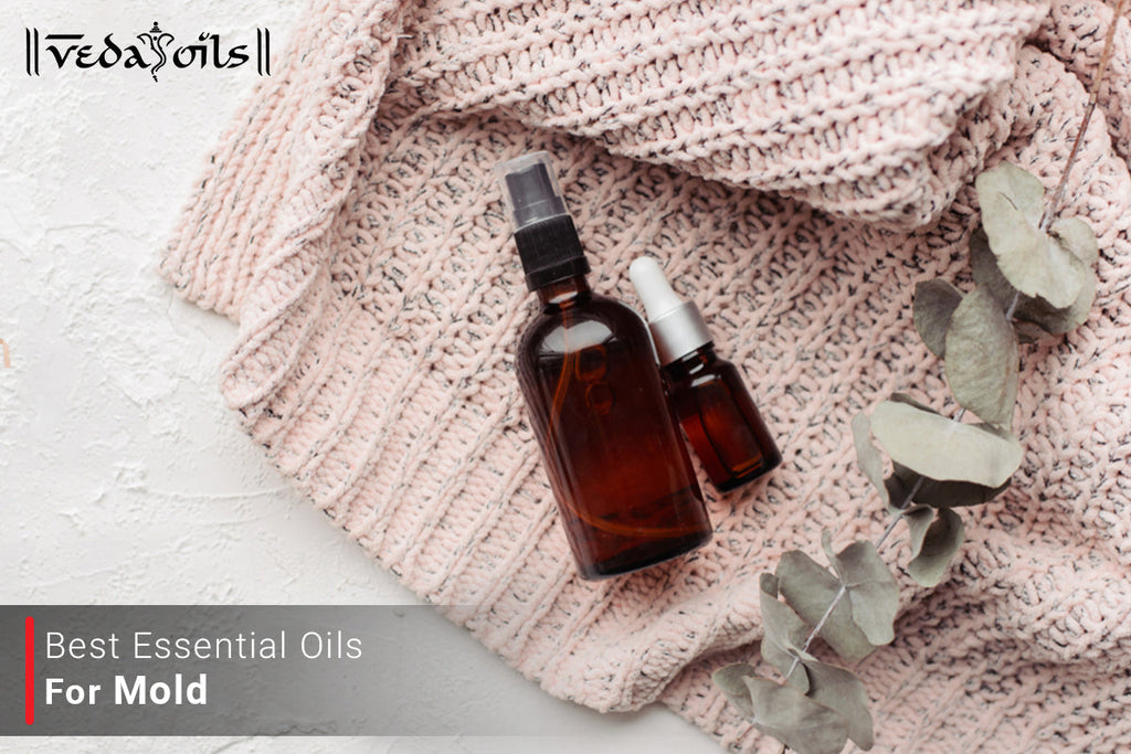 8 Best Essential Oils For Mold & Mildew – VedaOils