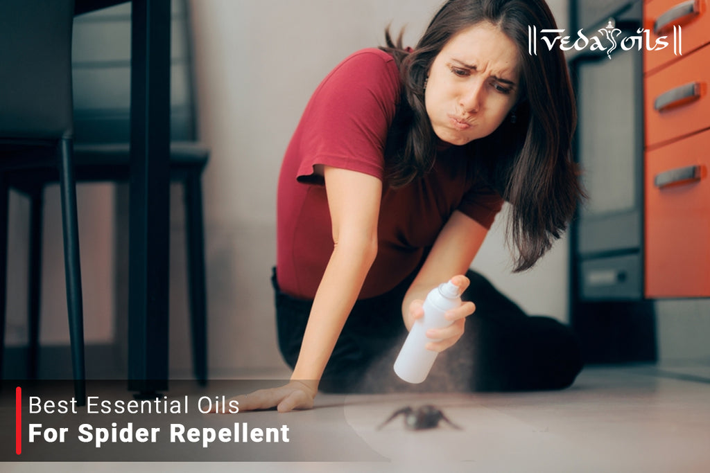 10 Best Essential Oils For Spider Repellent – VedaOils