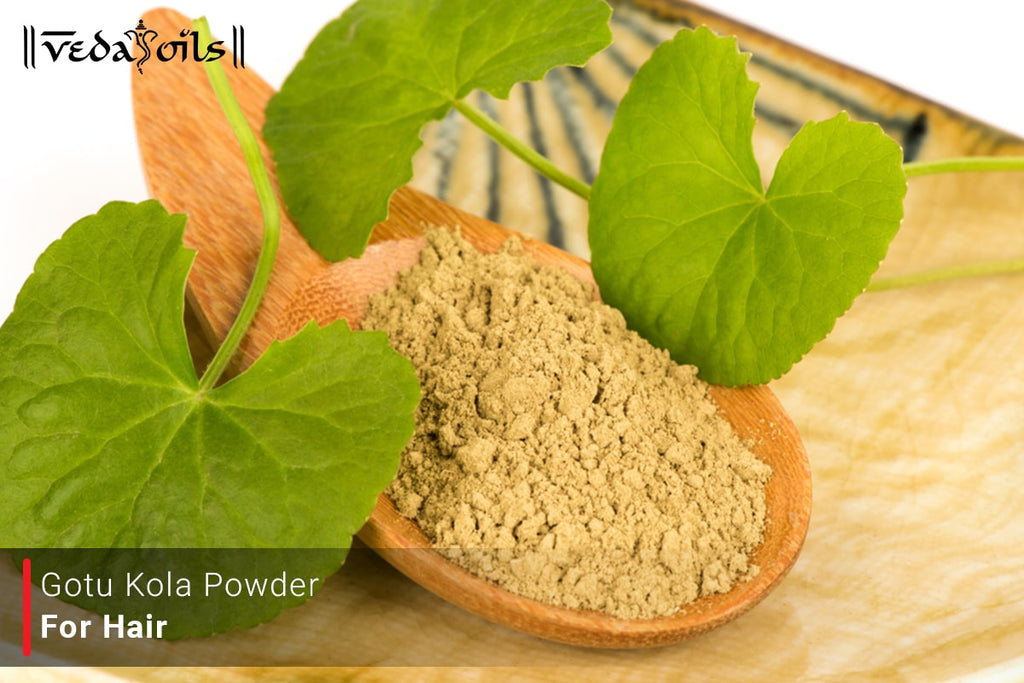 Best Gotu Kola Powder for Hair | Gotu Kola For Hair Growth – VedaOils