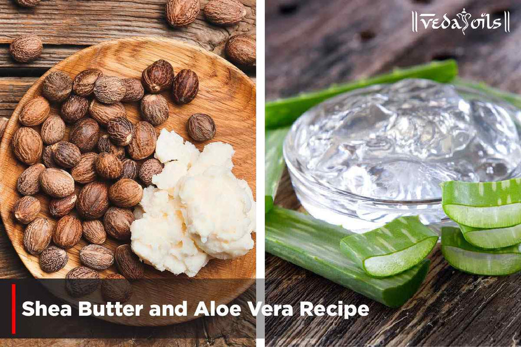 Shea Butter And Aloe Vera - Benefits & How To Use – VedaOils
