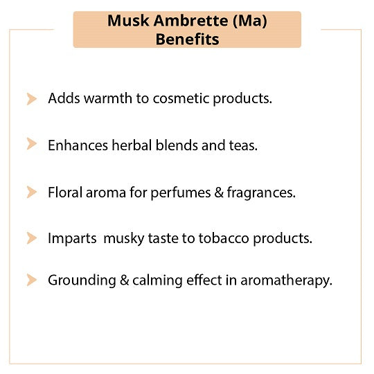 Buy Musk Ambrette Online at Wholesale Price in India | Musk Ambrette ...
