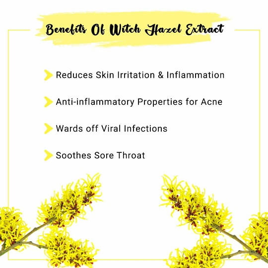 Buy Witch Hazel (Hamamelis Virginiana) Liquid Extract Online in India ...