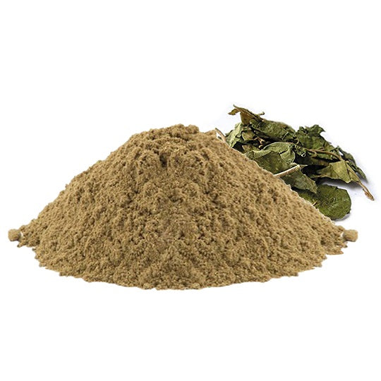 Buy Gurmar Powder Online | Gymnema Sylvestre Powder Bulk Supplier In ...
